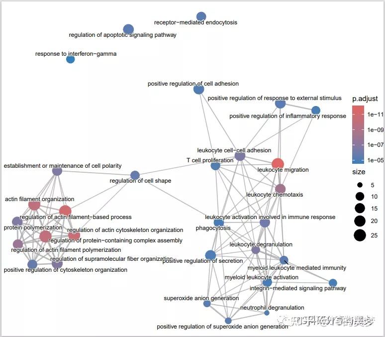 clusterProfiler：基因功能富集分析的惊喜之作 - 知乎