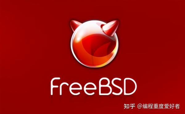 freebsd vs Linux，哪一个才是更好的？你有使用过其中任一吗 - 知乎