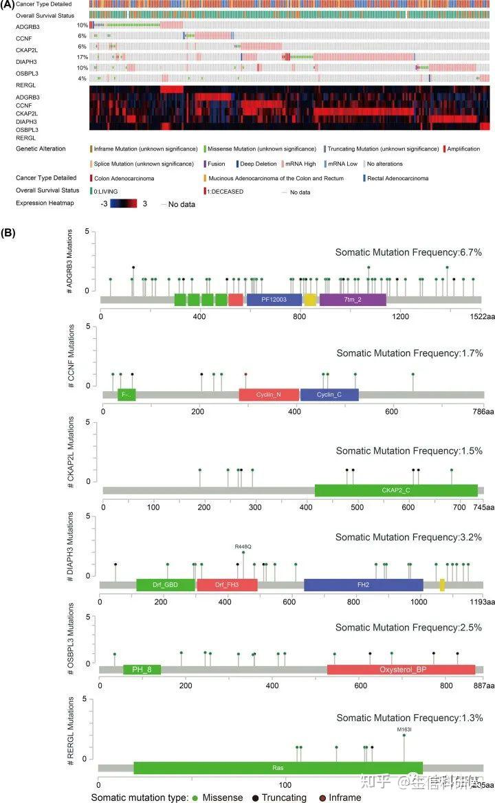 3+ WGCNA可替换PPI筛选hub基因 - 知乎