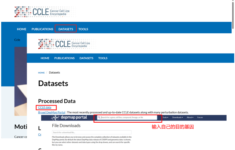 解忧小工具 | CCLE : 三分钟在线快速查询研究的基因在癌细胞系当中的表达情况 - 知乎