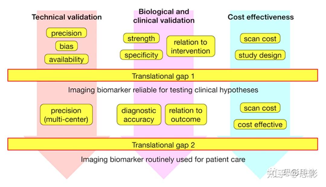 NODDI在临床研究中的应用 - 知乎