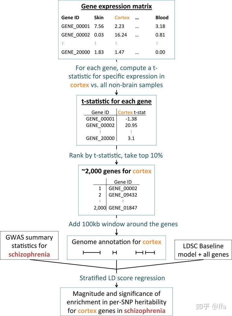 GWAS研究基本概念4——GWAS+scRNA工具列表 - 知乎
