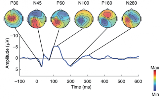 TMS-EEG：认知功能和临床应用研究 - 知乎