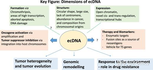 染色体外DNA（ecDNA）简介 - 知乎