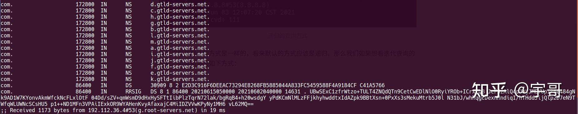 DNS解析-dig工具的使用 - 知乎