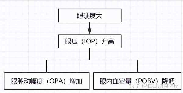 眼科产品｜美国锐科Reichert Model 30™Pneumatonometer气压眼压计 - 知乎