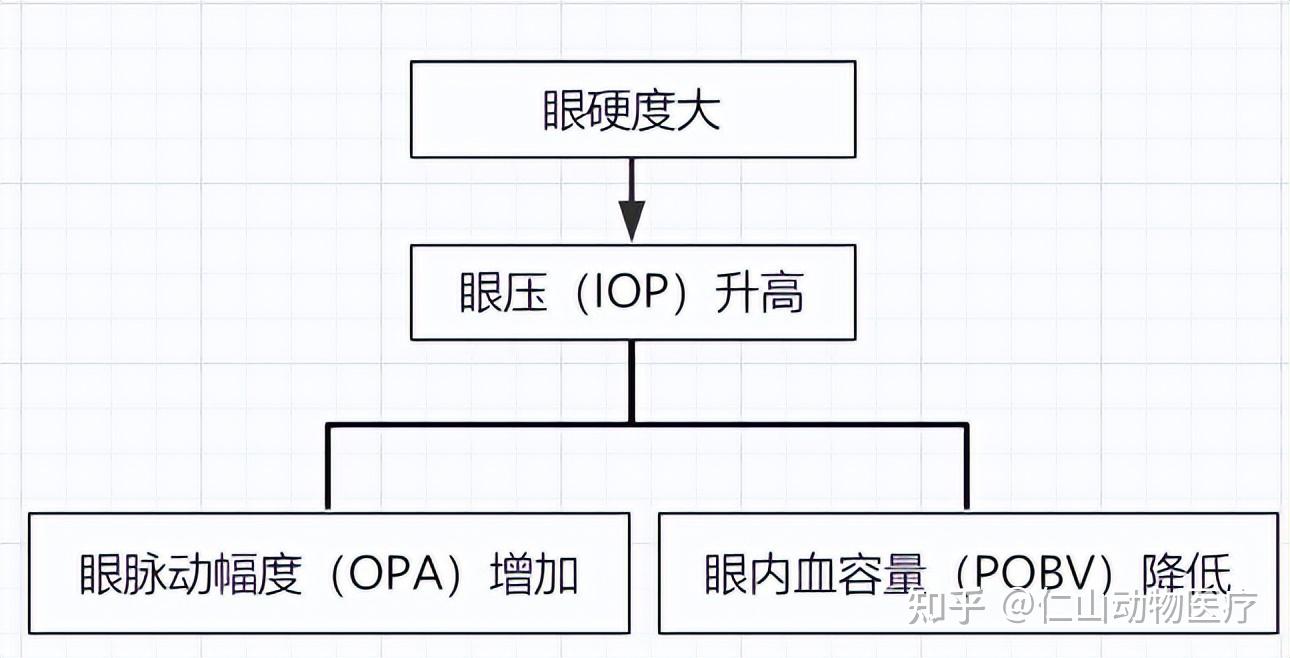 眼科产品｜美国锐科Reichert Model 30™Pneumatonometer气压眼压计 - 知乎