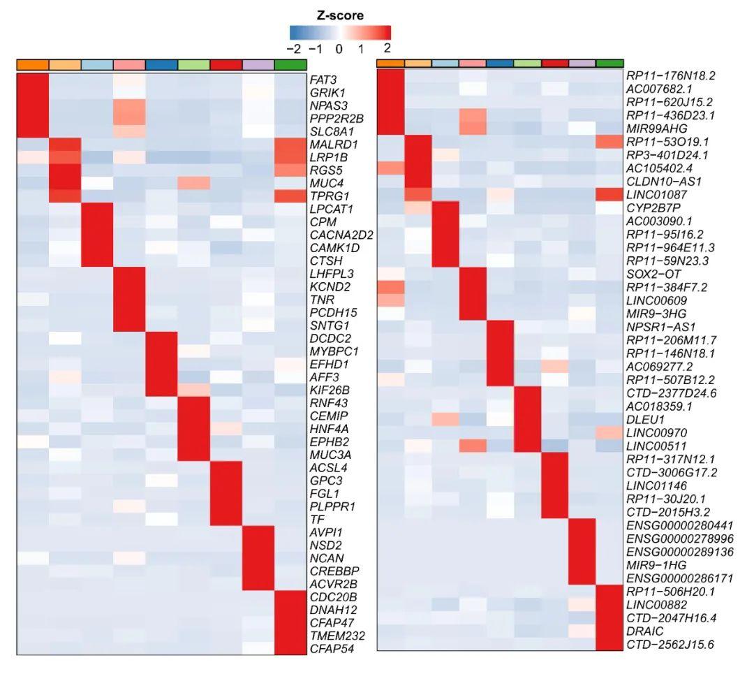 单细胞lncRNA如何分析？VITA助你一臂之力！ - 知乎