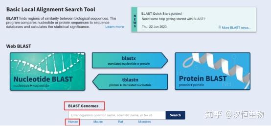 敲除sgRNA“保姆级”设计教程 - 知乎