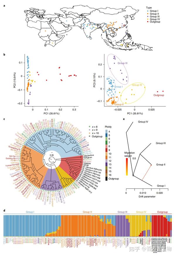 Nat Genet详解！百迈客再次助力甘蔗基因组荣登顶刊！ - 知乎