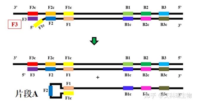 来了来了，全方面get—— LAMP技术 - 知乎