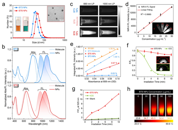NIR-II 荧光团 | 苯并[c]噻吩荧光团的抗猝灭NIR-II J聚集体实现高效生物成像和光疗诊断 - 知乎