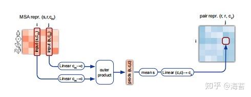 AlphaFold2论文阅读笔记-补充材料-2 Evoformer - 知乎