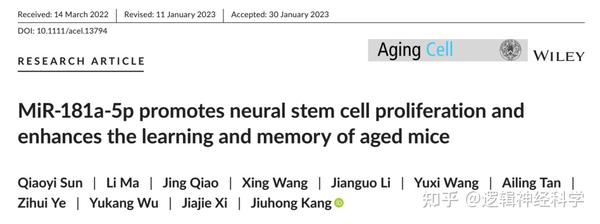 Aging Cell︱同济大学康九红课题组揭示miR-181a-5p在神经干细胞增殖和老年小鼠学习记忆中的作用 - 知乎