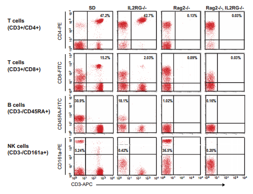 关于免疫缺陷大鼠，你知多少？ - 知乎