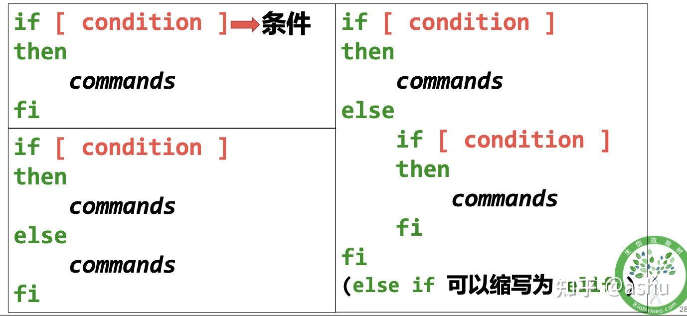 Linux结构化语句-条件与循环 - 知乎