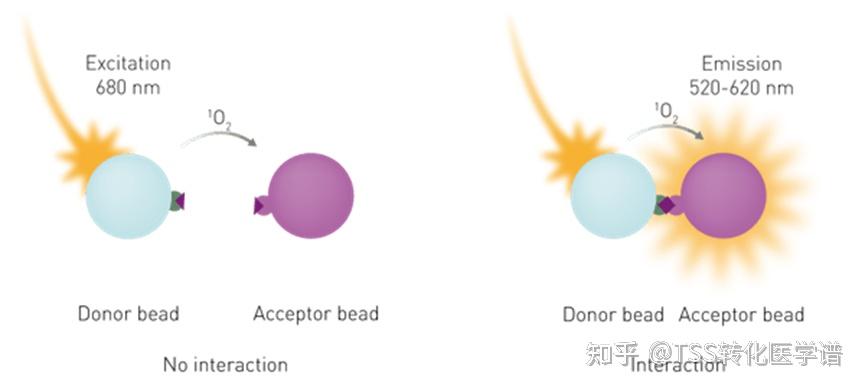 带你了解Alpha Screen技术 - 知乎