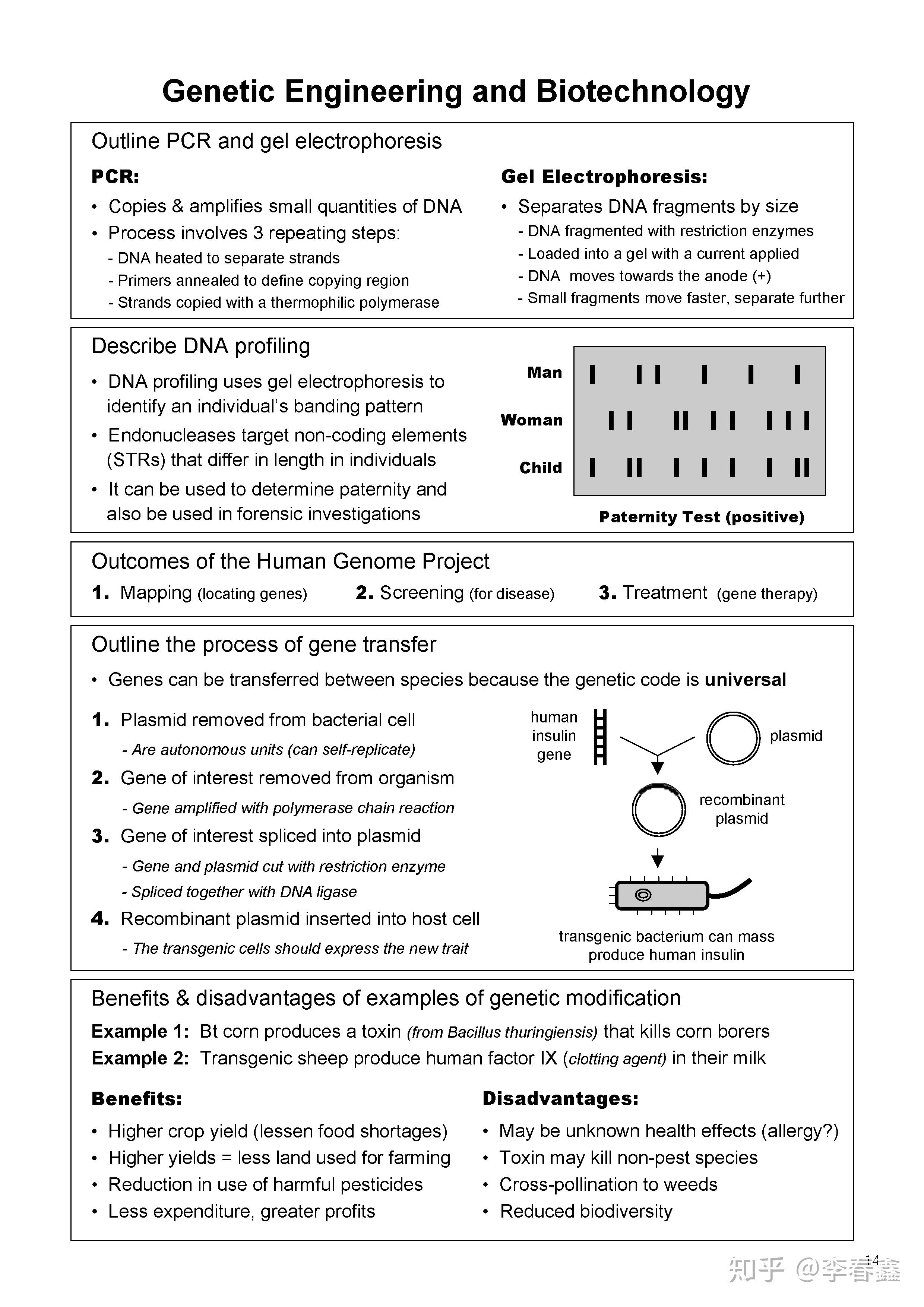 Dp Biology Quick Note For Revision Dp生物快速复习手册 知乎