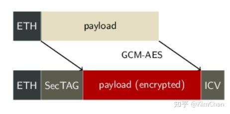 【车载网络安全】MACsec简介 - 知乎