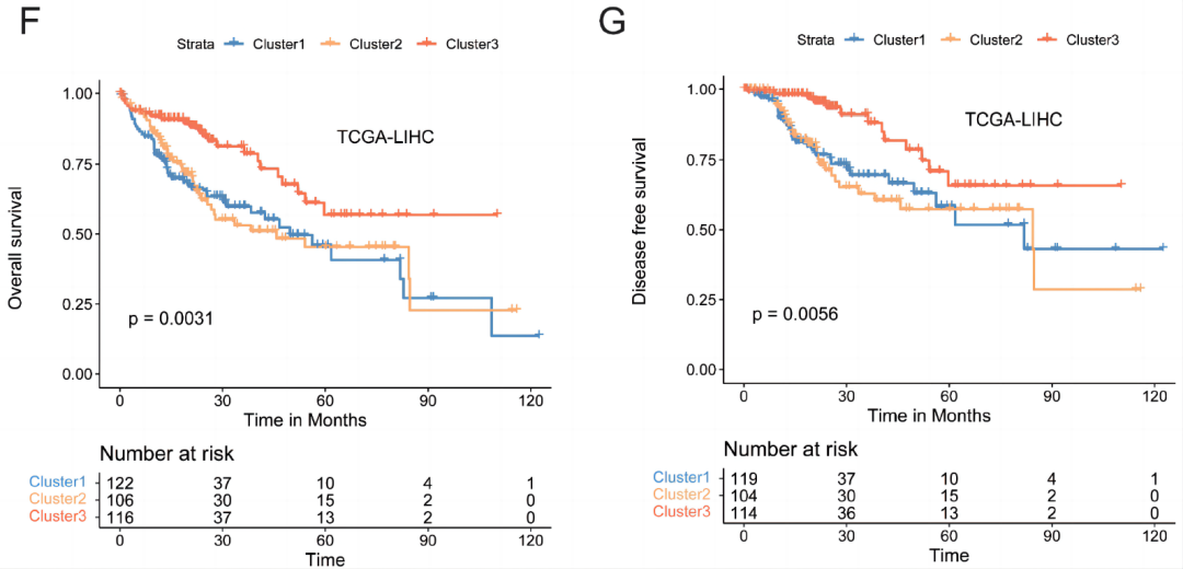 Q1区10分+单细胞联合bulk RNA！聚焦热点方向“代谢”，打造生信分析文章新高度！ - 知乎