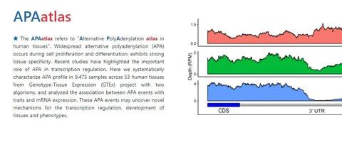 又挖到APA研究神器：APAatlas数据库了解一下！ - 知乎