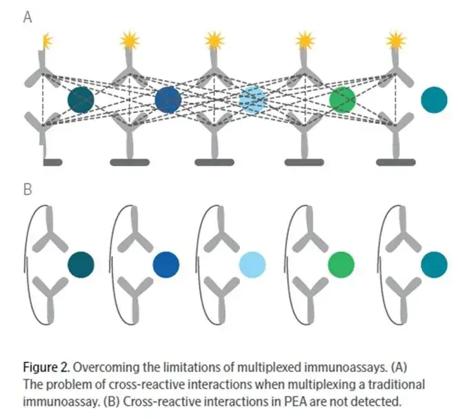 靶向蛋白质组定量方法——PEA - 知乎
