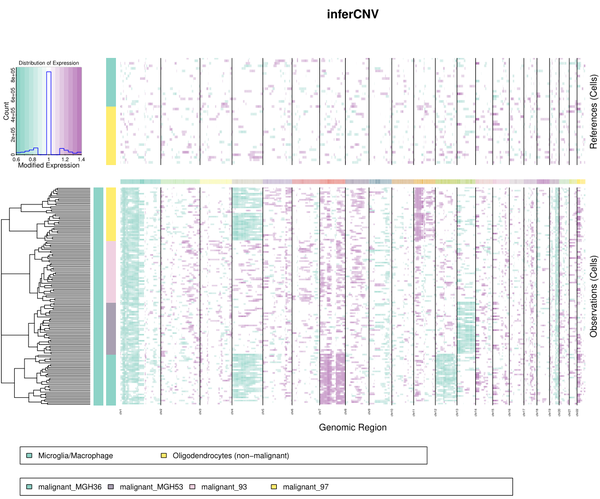 单细胞分析实录(11): inferCNV的基本用法 - 知乎