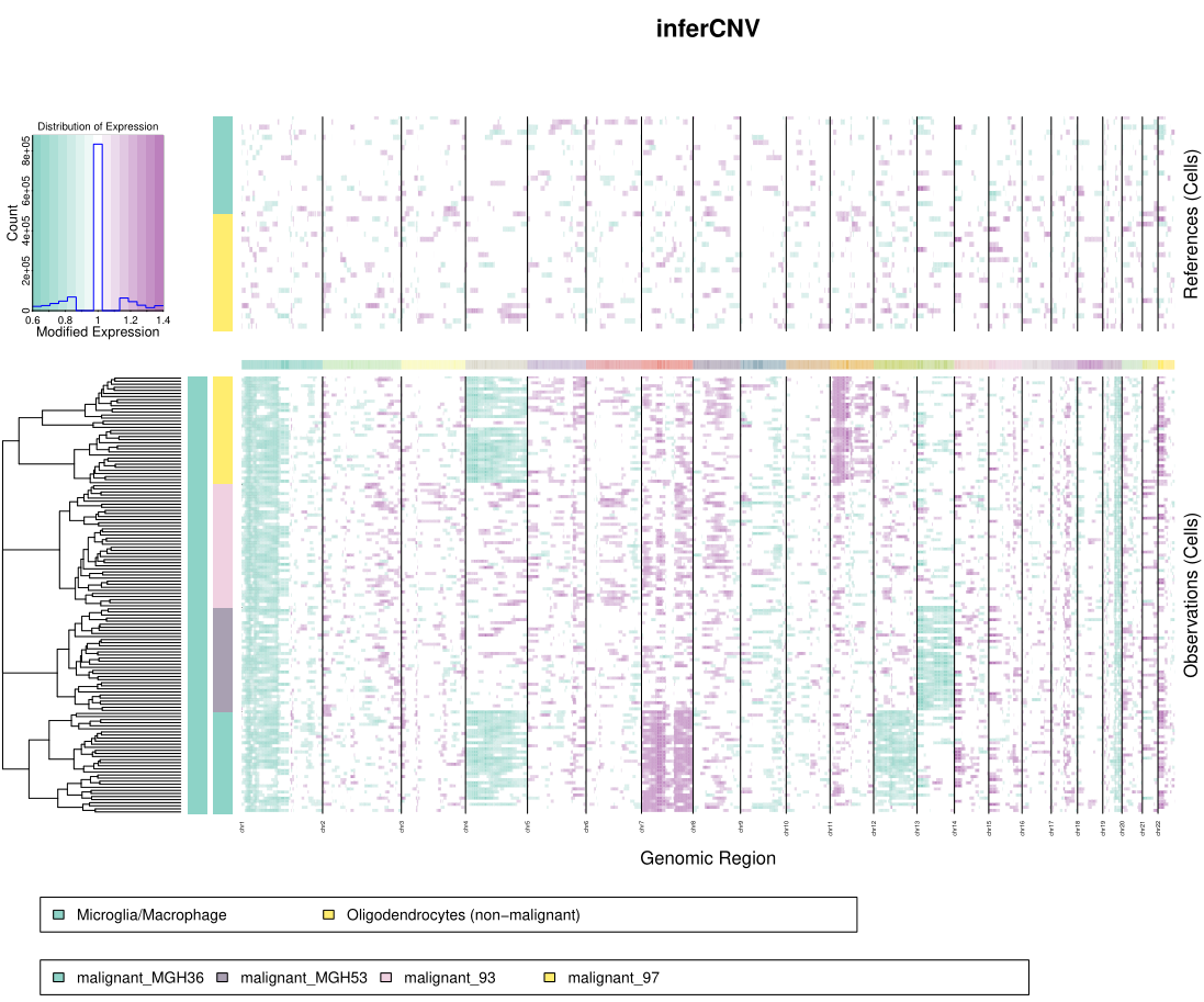 单细胞分析实录(11): inferCNV的基本用法 - 知乎