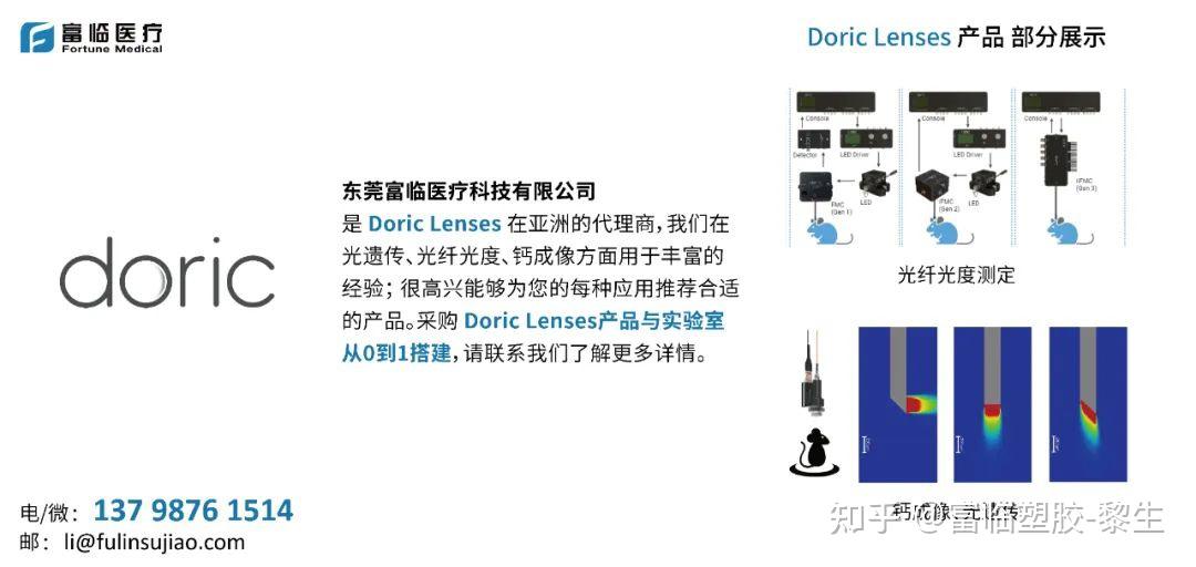 Doric光纤光度法在自由活动小鼠中的同步电生理学和纤维光度测定法 - 知乎