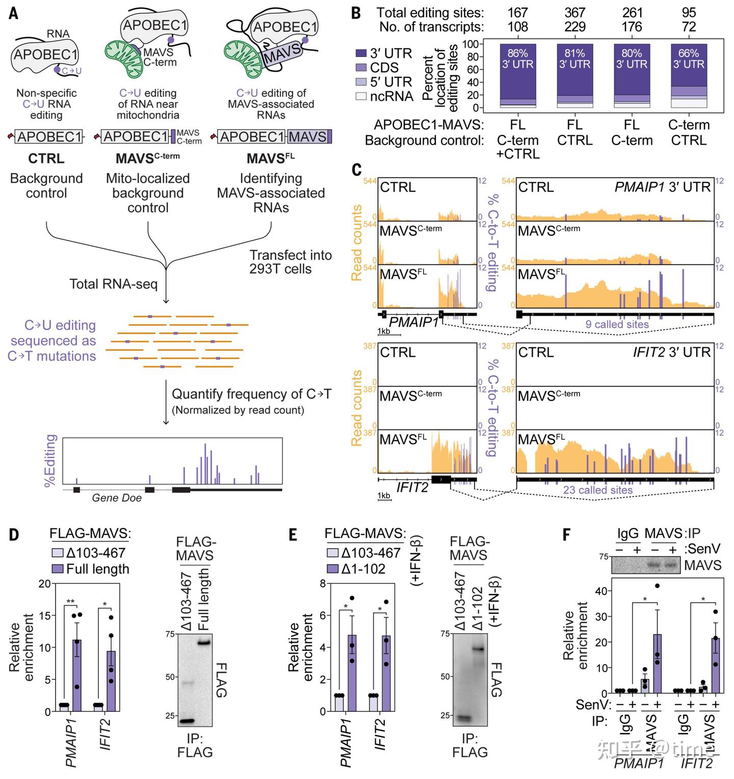 文献分享 | Science：细胞RNA与MAVS相互作用以促进抗病毒信号传导 - 知乎