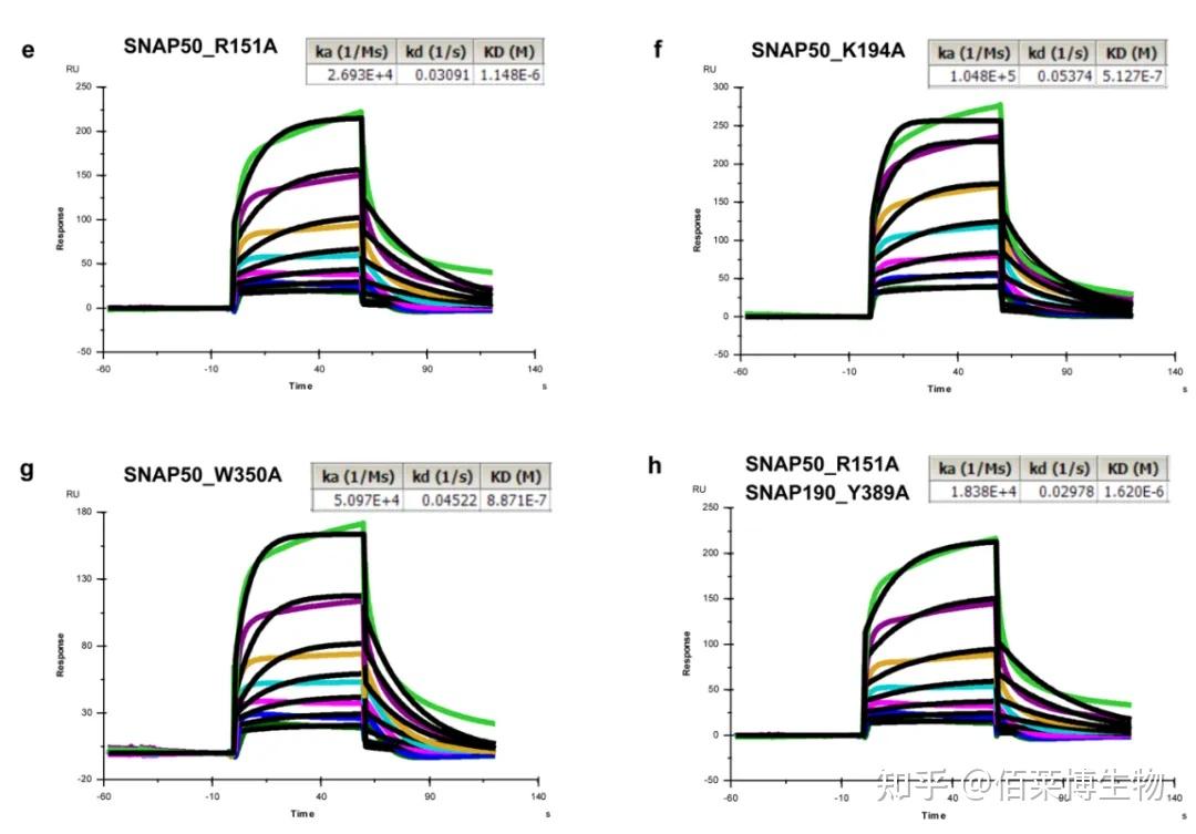 快速验证蛋白与核酸互作新方法：SPR表面等离子共振技术 - 知乎