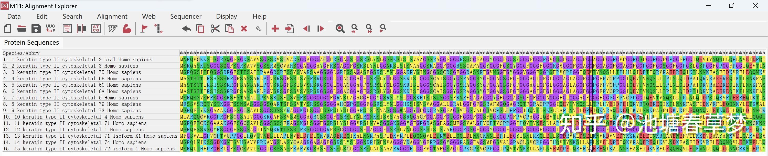 初探多序列比对——生信原理第三次实验报告 - 知乎