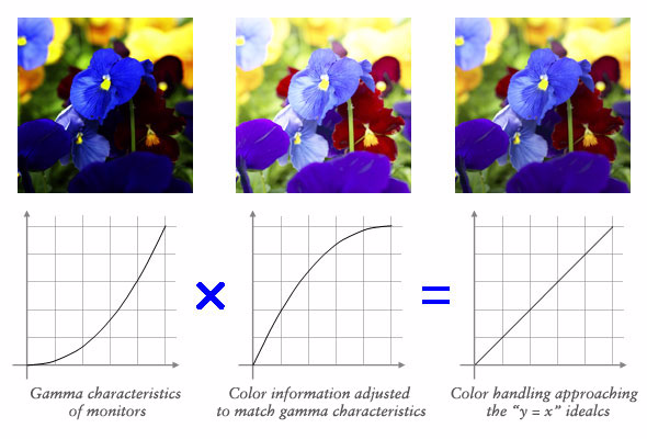 到底什么是伽马校正 Gamma Correction?——节选自《高兴说显示进阶篇之三》 - 知乎