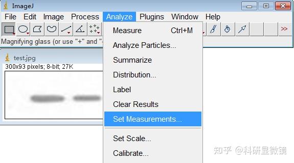 ImageJ惊艳登场！分分钟搞定WB条带灰度分析（内含免费软件包） - 知乎