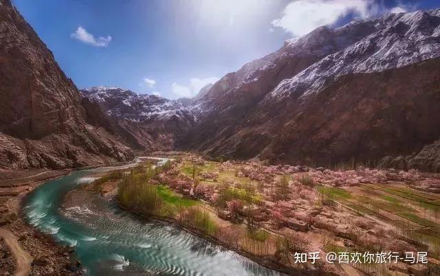 新疆杏花这么美，最全赏花攻略看这篇就足够了！ - 知乎