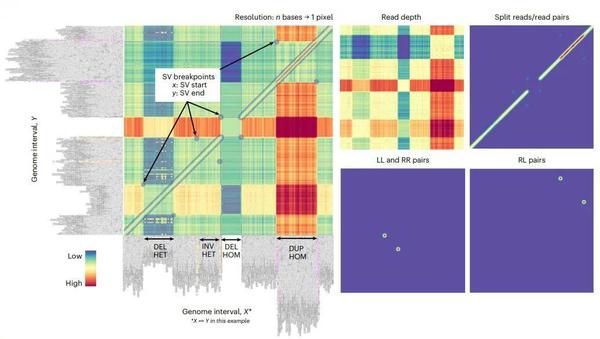 Nature Methods | Cue: 一个用于发现结构变异和基因分型的深度学习框架 - 知乎