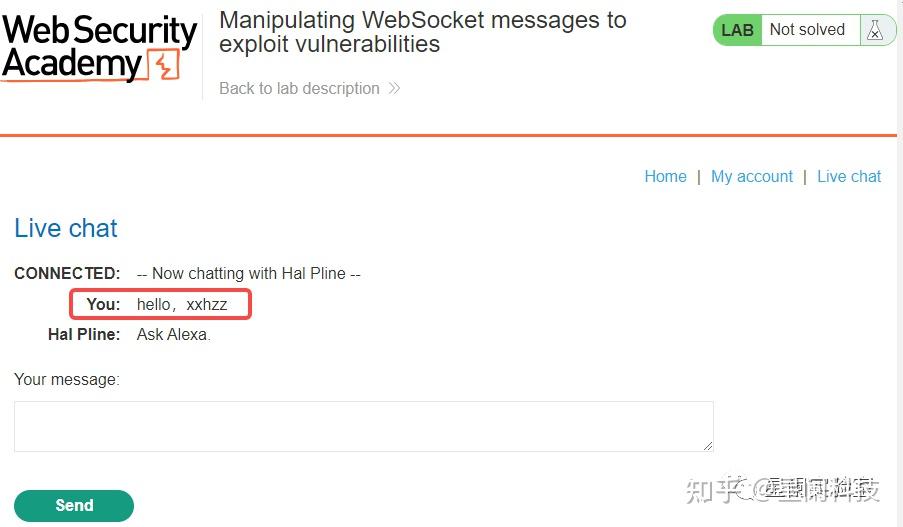 WebSocket API安全风险解读 - 知乎