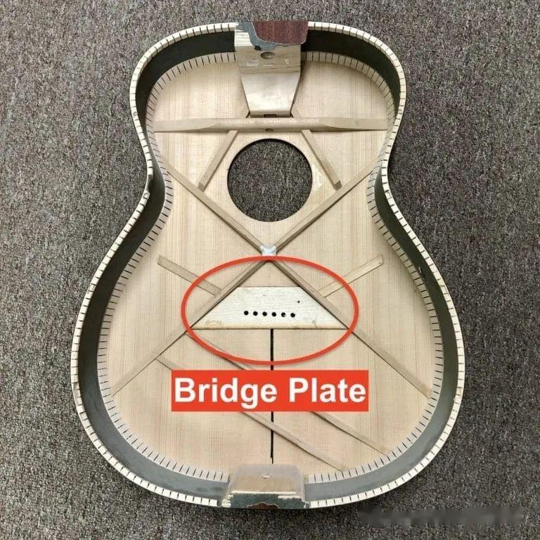 从琴桥板（Bridge Plate）开始，和你们聊点有的没的...... - 知乎