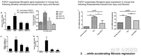 FGF21：NASH领域逆境前行现曙光 - 知乎