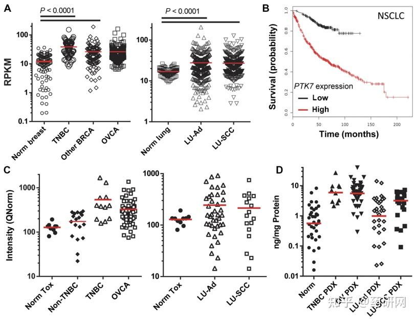 从两款PTK7 ADC看PTK7进展 - 知乎