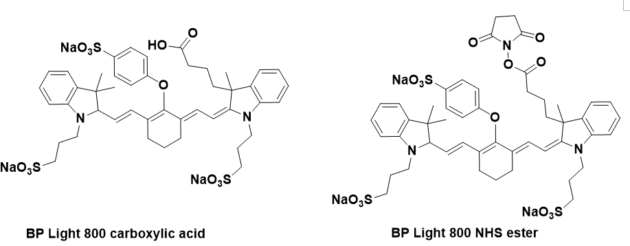 Technology│荧光染料