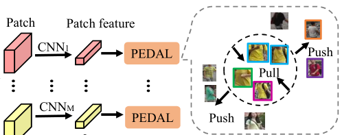 ReID-CVPR2019[2]——基于Patch的可分辨特征无监督学习 - 知乎