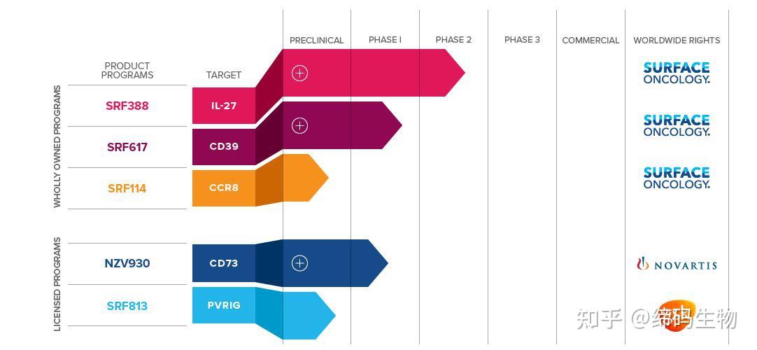 肿瘤免疫靶点｜CCR8 - 知乎