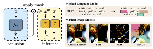 Mask Autoencoder 各类变体 - 知乎