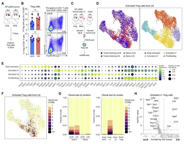 Immunity ｜ IFN-γ的组织特异性丰度驱动T细胞对肺癌的应答功能失调 - 知乎