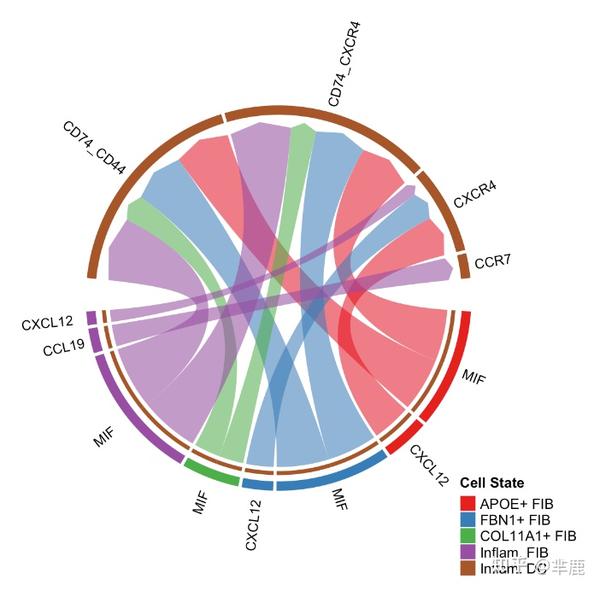 CellChat细胞通讯分析（中）--实操代码（单个样本） - 知乎