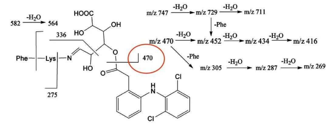 UGT酶的两面性──解毒还是引发毒性？如何识别和评估酰基葡萄糖醛酸代谢产物？ - 知乎