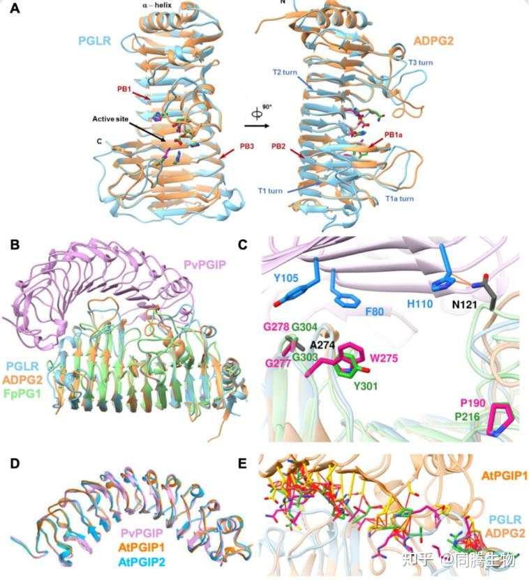 Helix+多模式分子互作仪在酶结构与酶和底物结合动力学研究中的应用 - 知乎