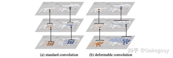 Beyond Bounding Box Convex Hull Feature Adaptation For Oriented And Densely Packed Object