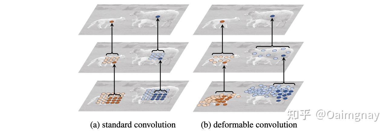 Beyond Bounding-Box: Convex-hull Feature Adaptation for Oriented and Densely Packed Object ...